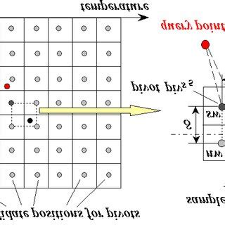 Illustration Of Pivot Selection Download Scientific Diagram