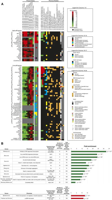 Genome Scale Rnai On Living Cell Microarrays Identifies Novel Regulators Of Drosophila