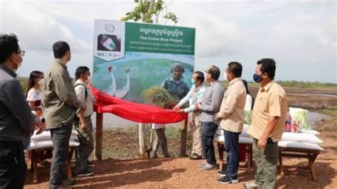 ក្រសួងបរិស្ថានសាកល្បងគម្រោង«ស្រូវមិត្តក្រៀល ជាមួយពលរដ្ឋ១៦គ្រួសារលើដី១៧ហិចតាក្នុងខេត្តកំពត Tnaot