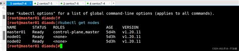 【kubernetes】关于k8s集群如何将pod调度到指定node节点亲和与反亲和等pod指定node Csdn博客