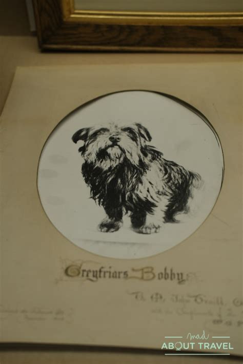 El Perro Bobby De Edimburgo La Leyenda Detrás De Greyfriars Bobby Mad About Travel Blog De