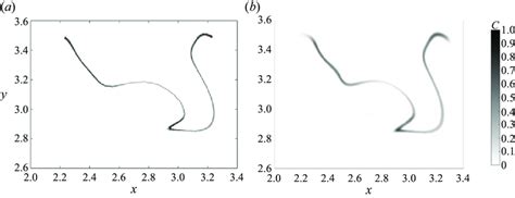 Two Dimensional Concentration Field In The X Y Plane At Z π