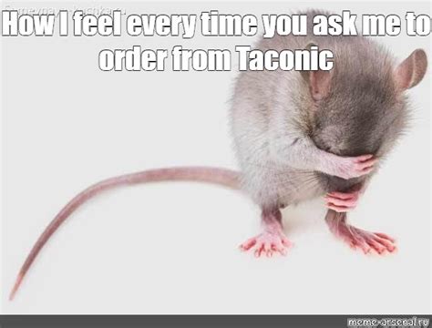 Create Meme Mouse Male Scared Mouse Picture Mouse Animal Pictures