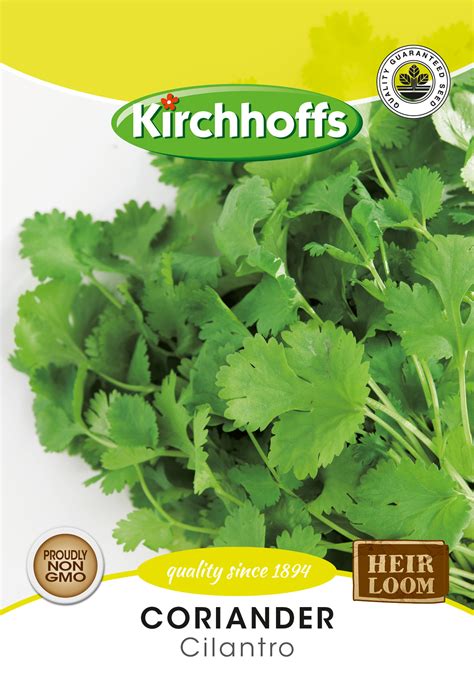 Coriander Kirchhoffs