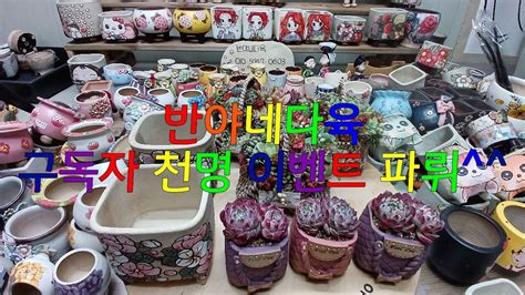 반야네다육 라이브방송 미니 신상 선영분 설화분 타미분 노아분 정스분 몽클세라믹 다육 이벤트팡팡 YouTube