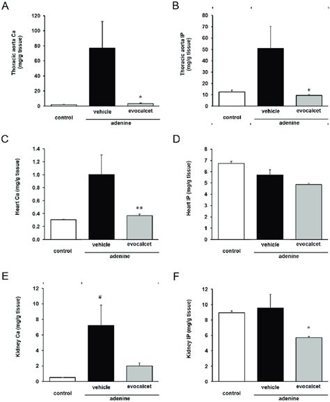 Effects Of Evocalcet On Ca And Ip Content In Tissues In Ckd Rats