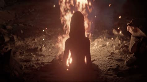 Adeptus Steve Wild Life V2025 08 21 Test1