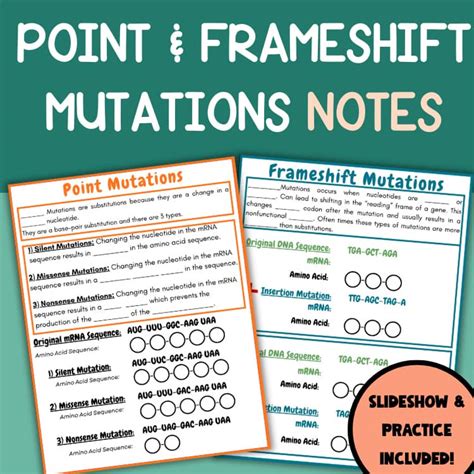 Point And Frameshift Mutation Guided Notes And Practice I Biology 1