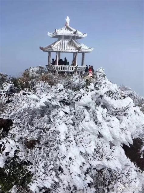 圖蟲攝影九仙山霧凇 每日頭條
