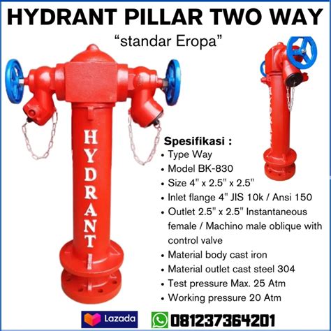 Pillar Hydrant Two Way Europe 4 X 25 X 25 Body Iron Cast Flange