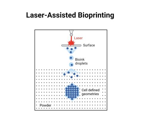 Laser Assisted Bioprinting Biorender Science Templates