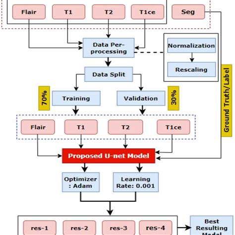 A Typical Segmentation Example With True And Predicted Labels Overlaid Download Scientific