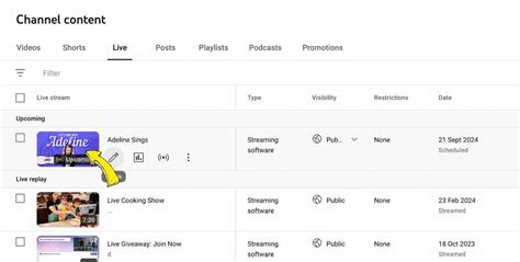 Easy Steps To Embed Youtube Live Stream On Your Website