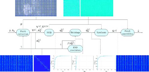 Block Diagram Of The Signal Recovery Procedure Local Information