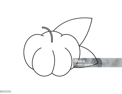 색칠하기 책 템플릿에 대한 스타 구스베리 개요 아이들을 위한 스타 구스베리 일러스트 워크시트 인쇄용 구아바에 대한 스톡 벡터 아트 및 기타 이미지 Istock