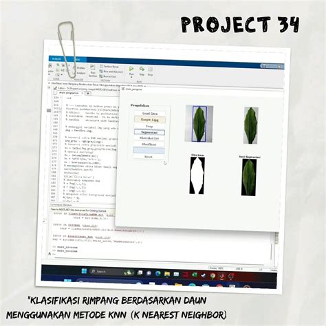 Klasifikasi Rimpang Berdasarkan Daun Menggunakan Metode Knn K Nearest