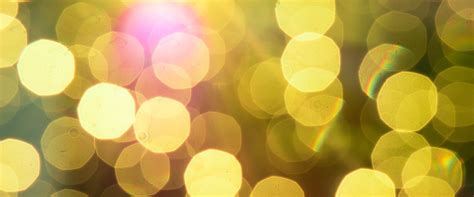 Mastering Arrays A Comprehensive Guide To Physics Maths And Computer Science