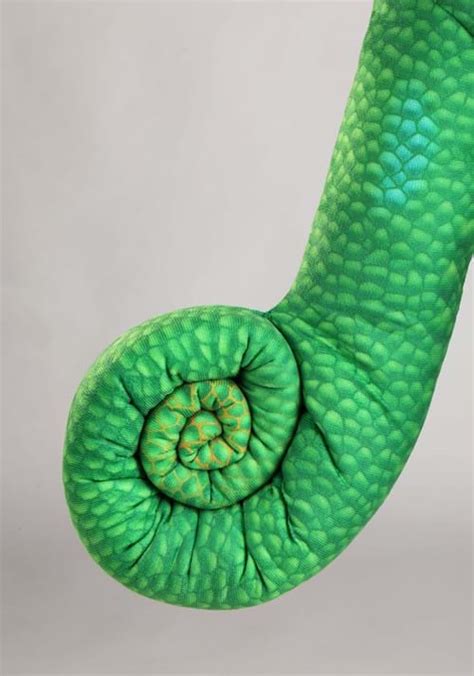 Disney Tangled Pascal Adult Costume Disney Costumes