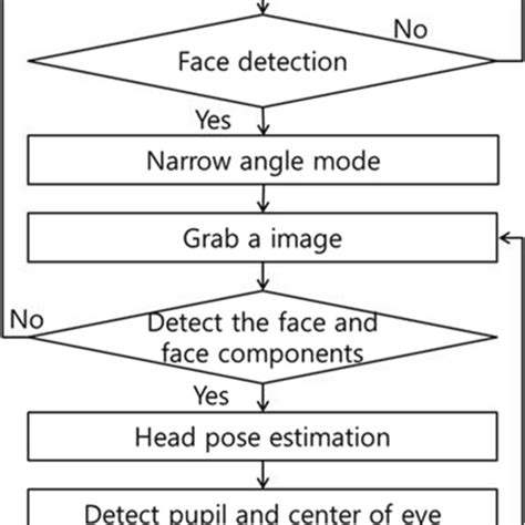 Flow Chart Of The Gaze Tracking Download Scientific Diagram