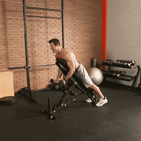 Incline Dumbbell T Raise 1000 Exercises Pelank Gym