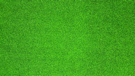 🔥 Green Editing Grass Field Background Hd Images Free Cbeditz