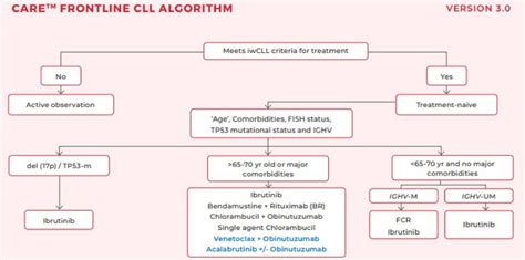 Figure 1 Care Guideline For Treatment Naive Patients With Cll