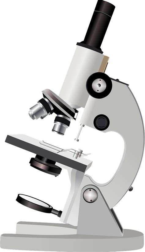 6 000 Free Gecko Foot Under Microscope And Gecko Images Pixabay