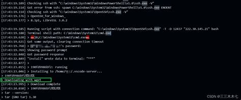 解决vscode 正在本地下载 Vs Code 服务器
