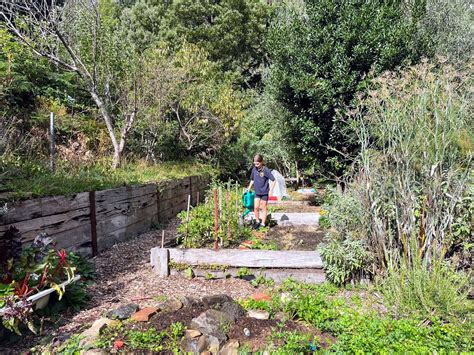 Murphys Mitre 10 Monbulk Vic