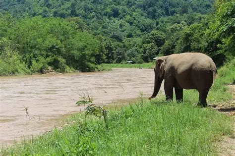 치앙마이 액티비티 추천 인기 Top5 태국 자유여행 여행하는 삶