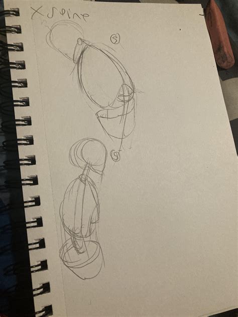 Proko Anatomy Spine R Learntodraw