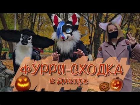 🎃 [Хеллоуинская фурри-сходка] 🎃 Фурри в Днепре! - YouTube