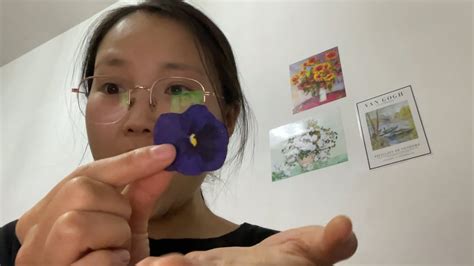 Өдрийн тэмдэглэл 6 Youtube