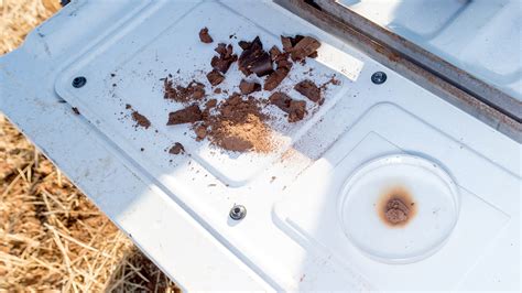 Harnessing The Short And Long Term Effects Of Gypsum Groundcover