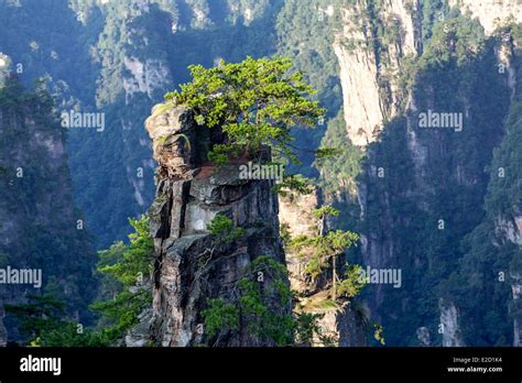 China Hunan Province Zhangjiajie Wulingyuan Scenic Area Zhangjiajie