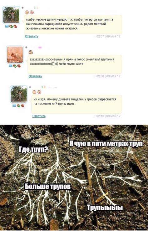 Шокирующая правда о грибах Пикабу