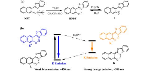 Scheme 2 Colour Online A Chemical Structures Of Nbt Along With The Download Scientific