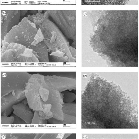 Sem Images Left Column And Tem Images Right Column Of Silica A E Download Scientific