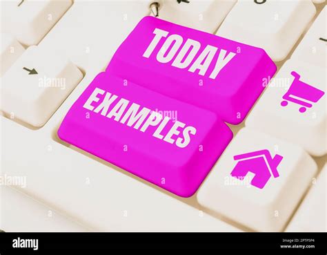 Text Sign Showing Examples Conceptual Photo Photo Sample Model To Follow Guide Explanation For