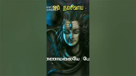 பக்தி பாடல் பக்தி பாடல் பக்தி பகவத்கீதை சிவன் சிவனே சிவன்பக்தி Youtube