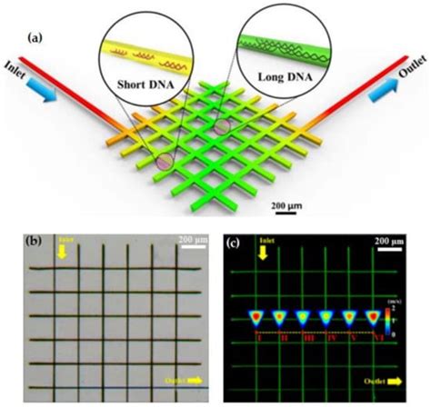 Polymers Free Full Text Polymer Based Device Fabrication And