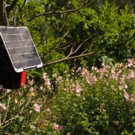 Pdf Bioacoustic Index Tool Long Term Biodiversity Monitoring Using On Sensor Acoustic Index