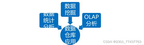 大数据分析与应用 csdn博客