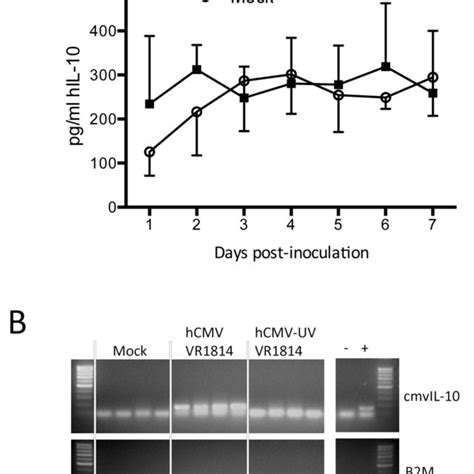 3145 Pdfs Review Articles In Scratch Assay