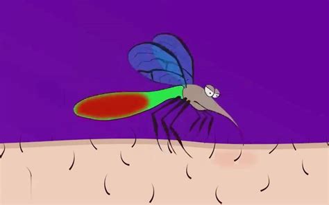 揭秘蚊子的吸血过程，复杂程度不亚于一场外科手术 科技发明秀 科技发明秀 哔哩哔哩视频