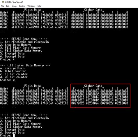 AES IP Instruction Xilinx En