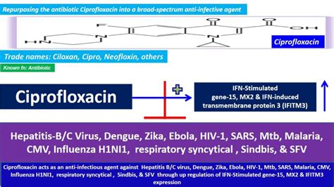 Antibiotic Spectrum Chart Pdf