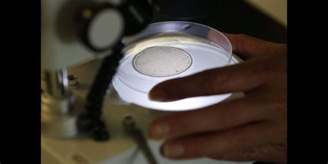 Survey Finds Scientists Feel Interference In Research Has Lessened But Still Occurs