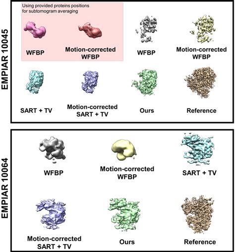 3d Visualization Of The Refined Proteins After The Subtomogram