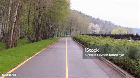 여름 공원에서 별도의 차선을 위한 노면에 노란색 선이 1개 있는 빈 아스팔트 도로 0명에 대한 스톡 사진 및 기타 이미지 0명 거리 고속도로 Istock